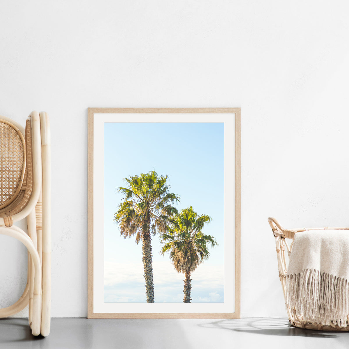 "Molly Springs" Mollymook Palm Photography Print – Belinda Doyle ...