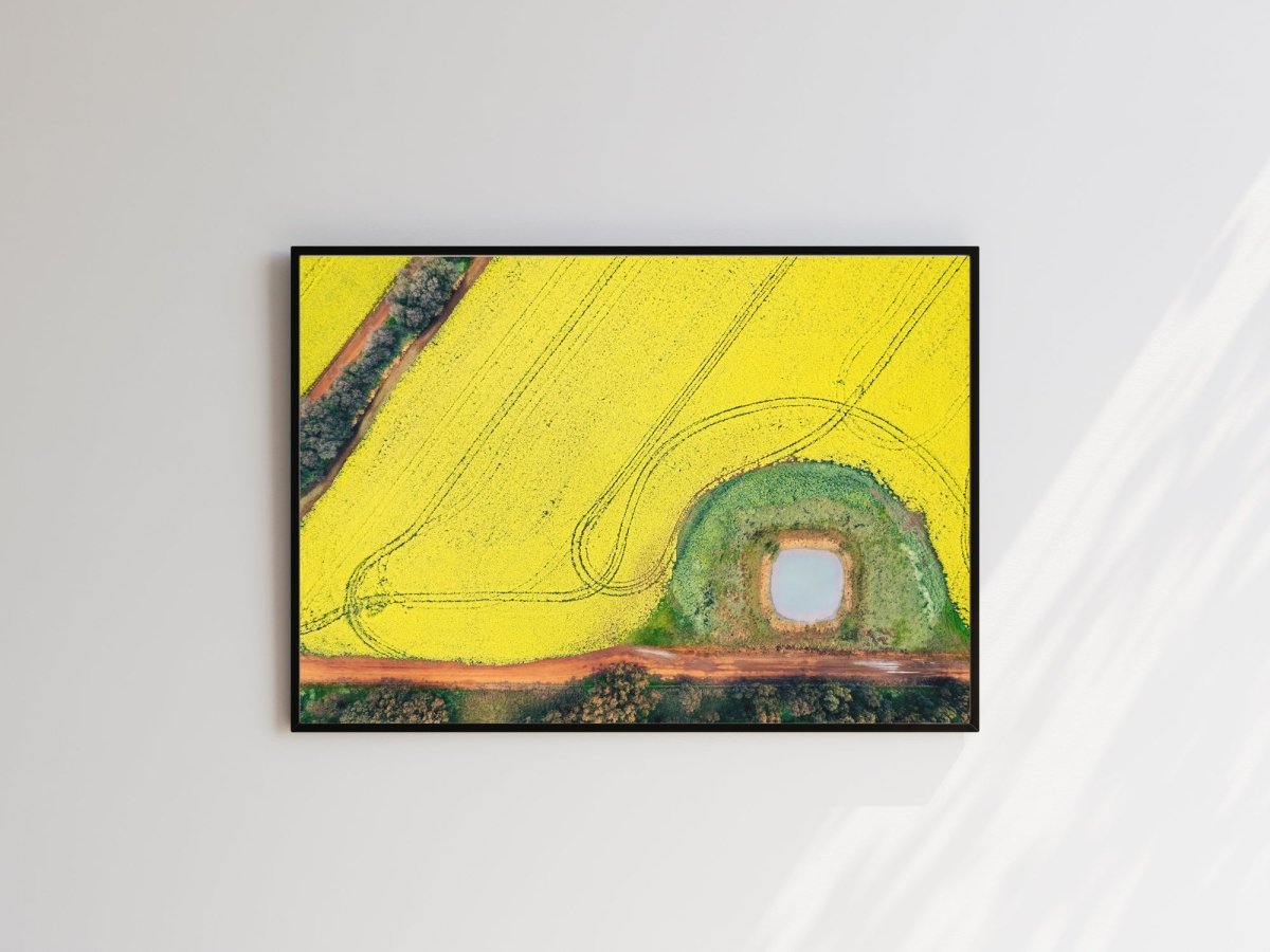 "Canola Way" Canola Trail Junee Photography Print – Belinda Doyle ...